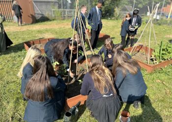 SEND - Springwest Academy